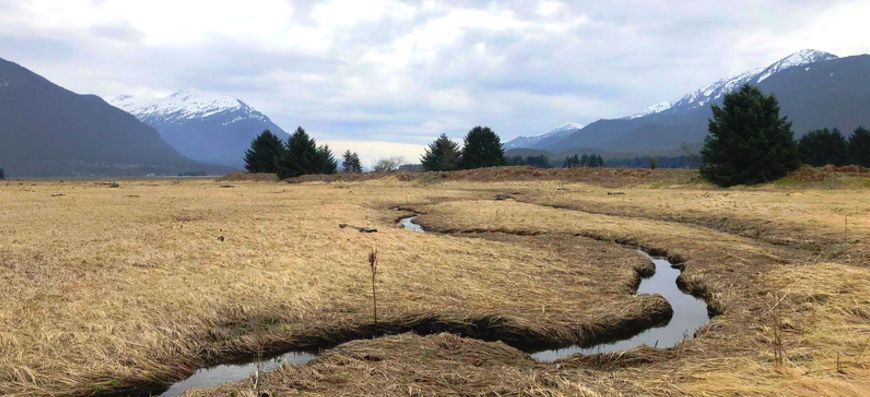 Juneau residents love their local wetlands - Pacific Birds Habitat ...