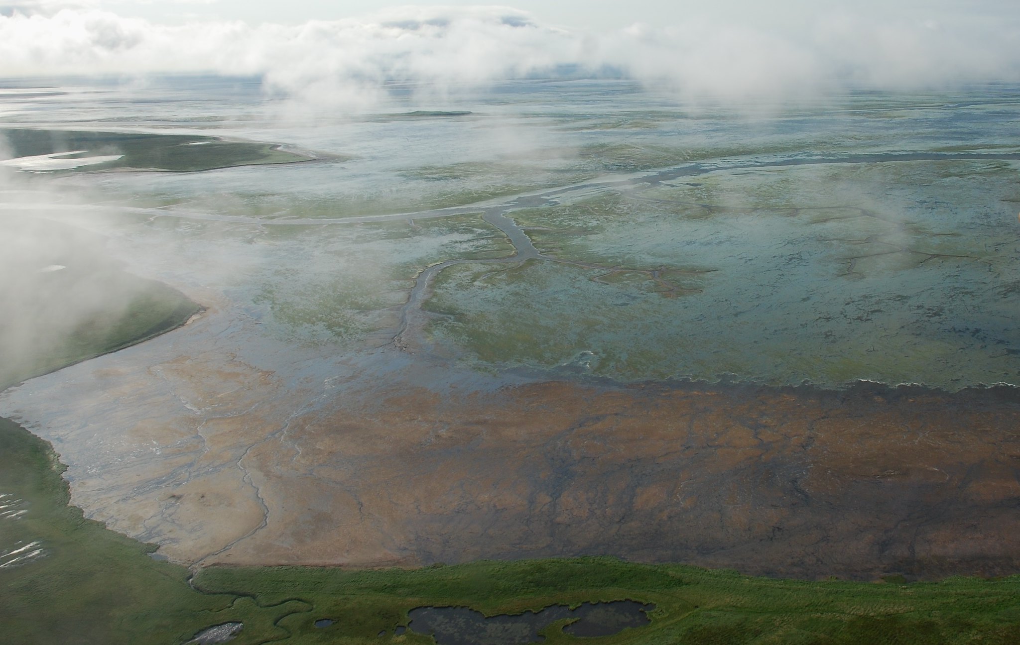 NAWCA Turns 30 - Pacific Birds Habitat Joint Venture