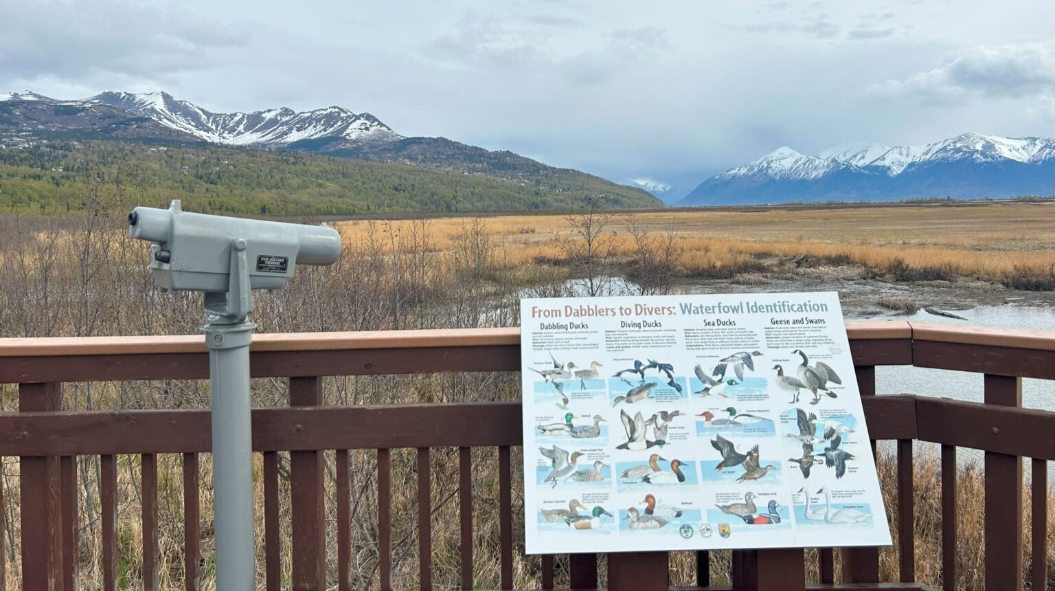 A Guide to NAWCA Grants: Conservation Funding That Works