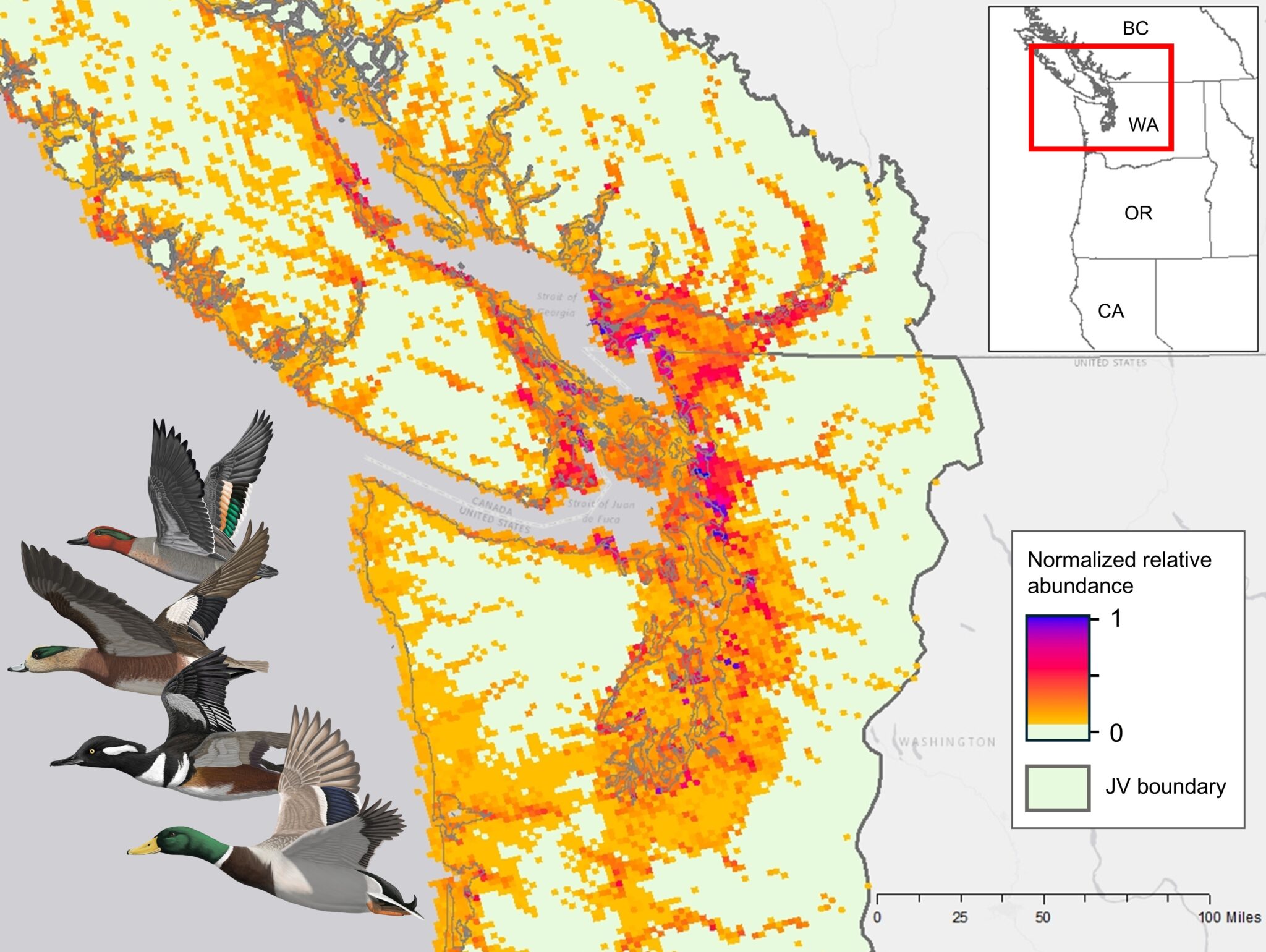 Pacific Birds Region eBird Dashboard