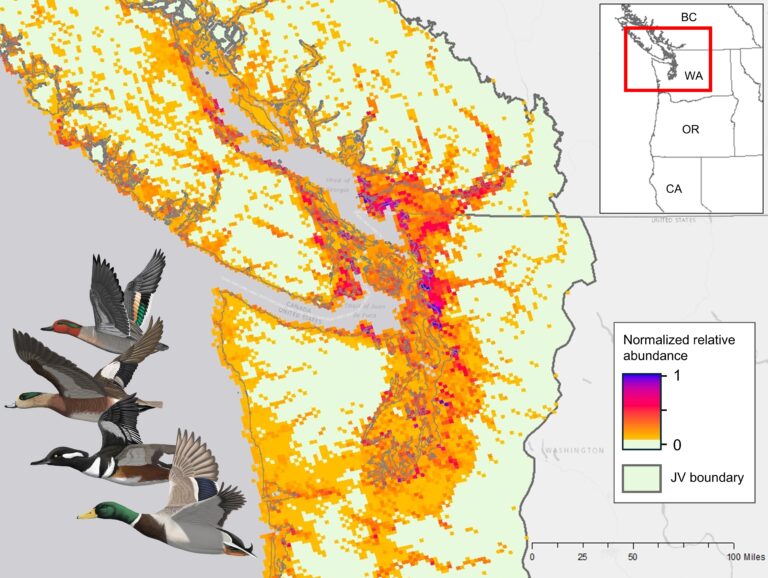 Pacific Birds Region eBird Dashboard